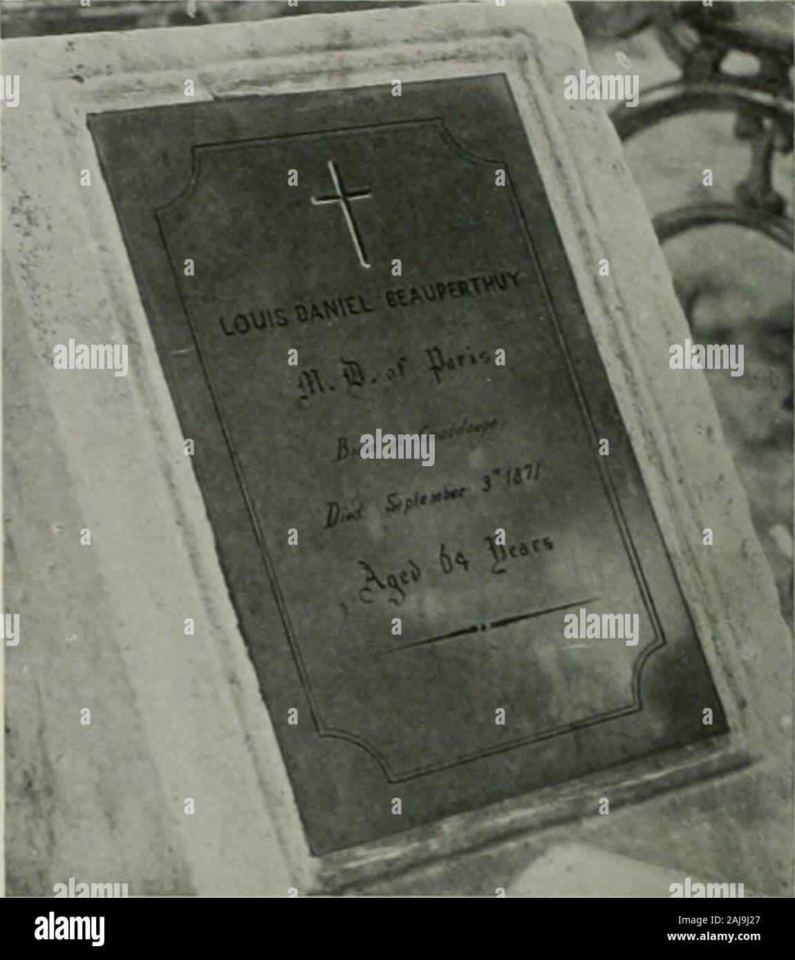 Decomposing human body hi-res stock photography and images - Alamy