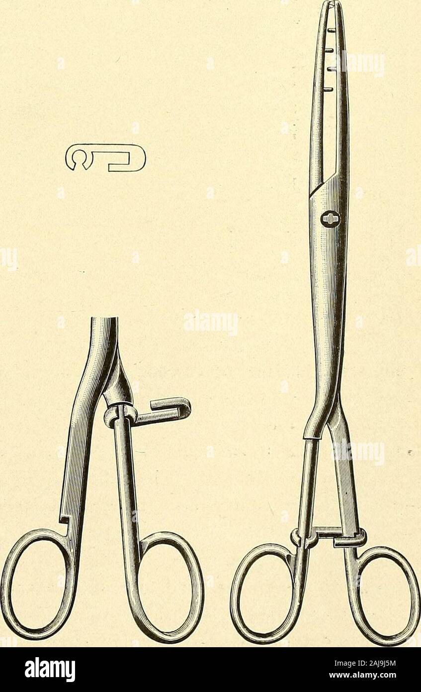 Ovum forceps hi-res stock photography and images - Alamy