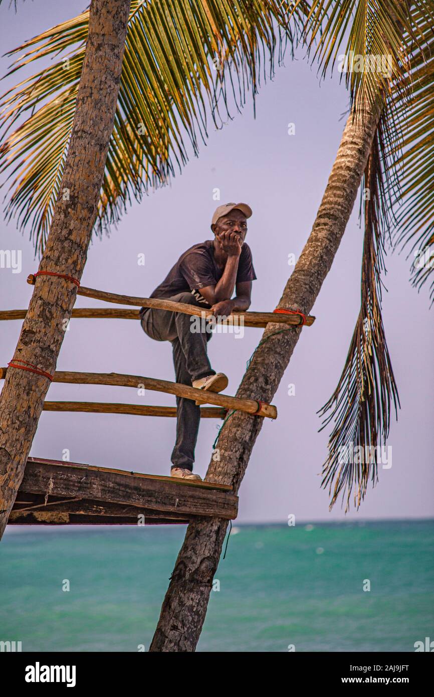 Dominican man looks at the sea 5 Stock Photo - Alamy