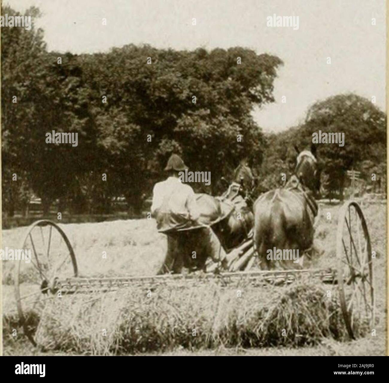 Harvest scenes of the world . Hay Tedder i:Operation Stock Photo - Alamy