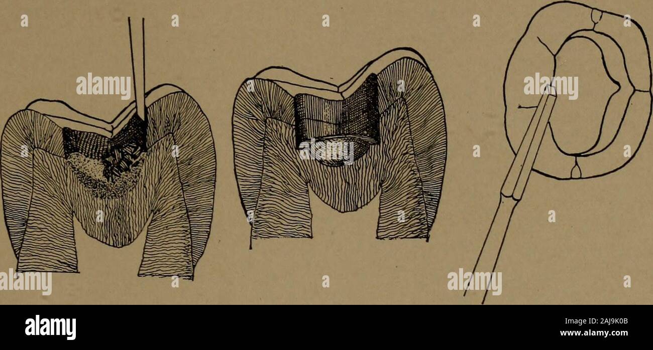 A text-book of dental histology and embryology, including laboratory ...