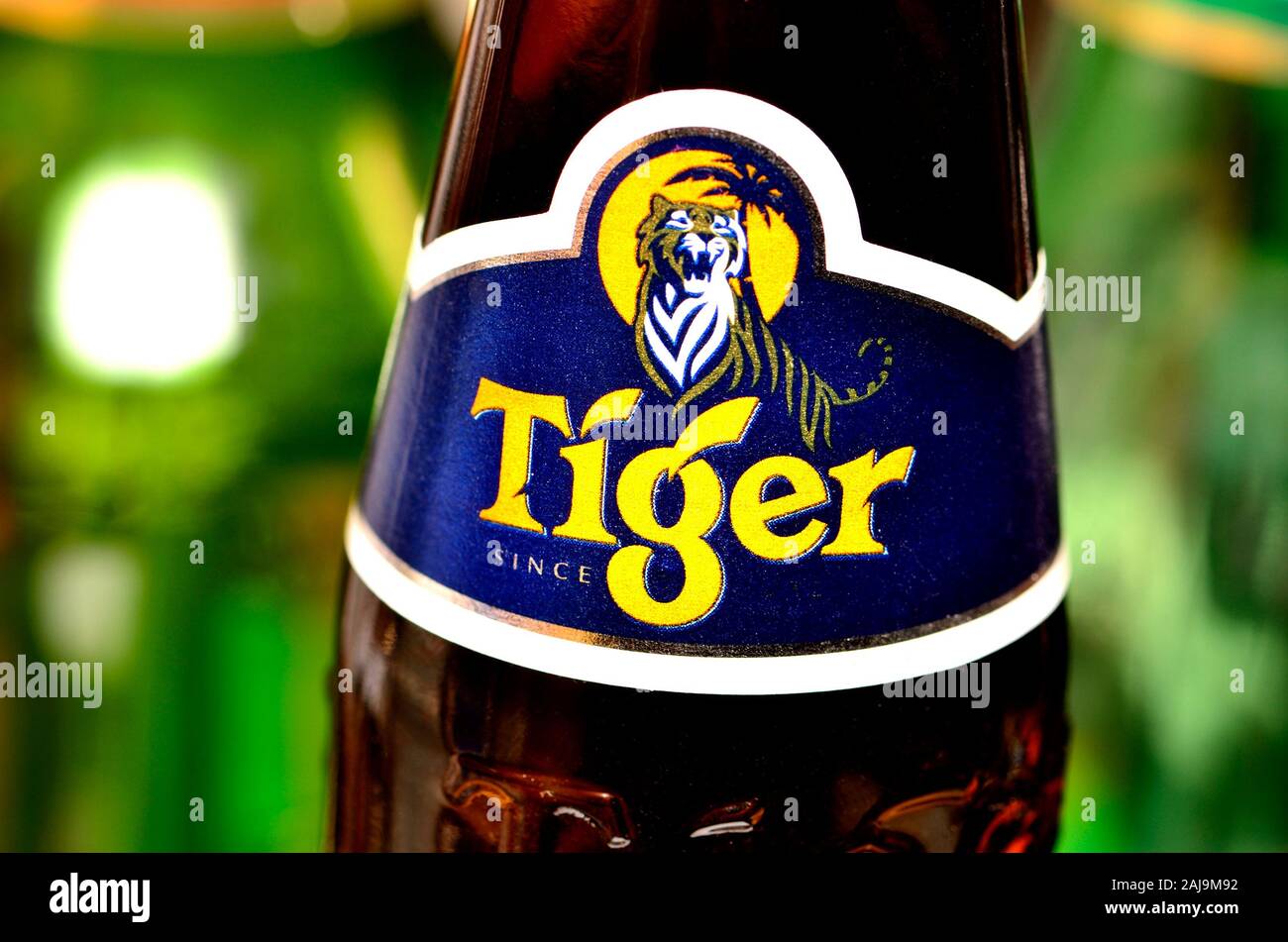 Beer bottle - Tiger beer (Singapore Stock Photo - Alamy