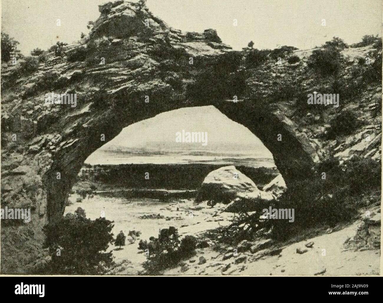 What to see in America . ege of fivedays a party of Mormons under the ...