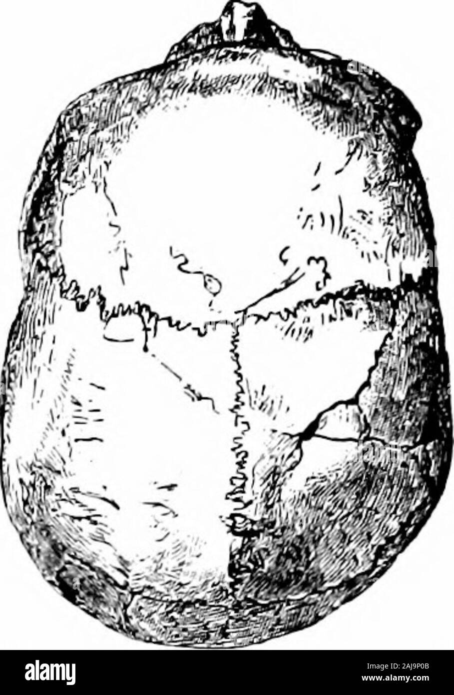 A guide to the antiquities of the bronze age in the Department of ...