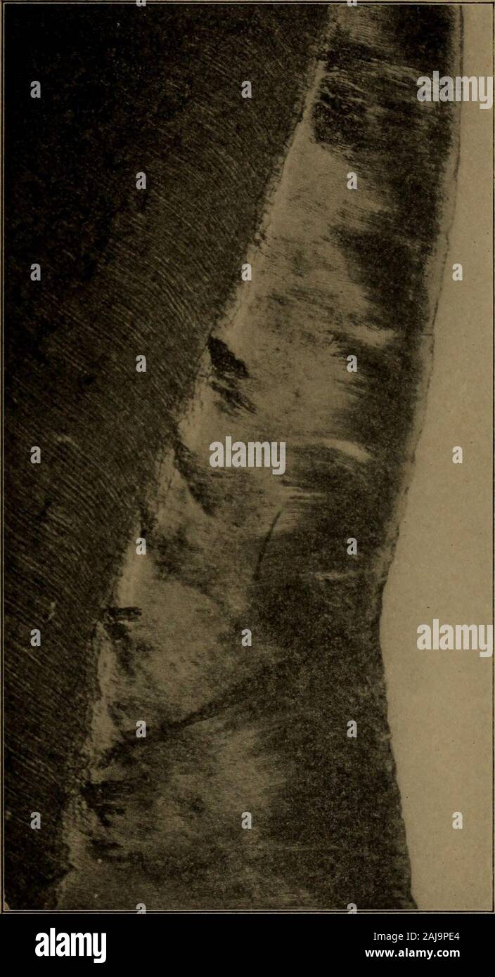 Enamel Rods High Resolution Stock Photography and Images - Alamy