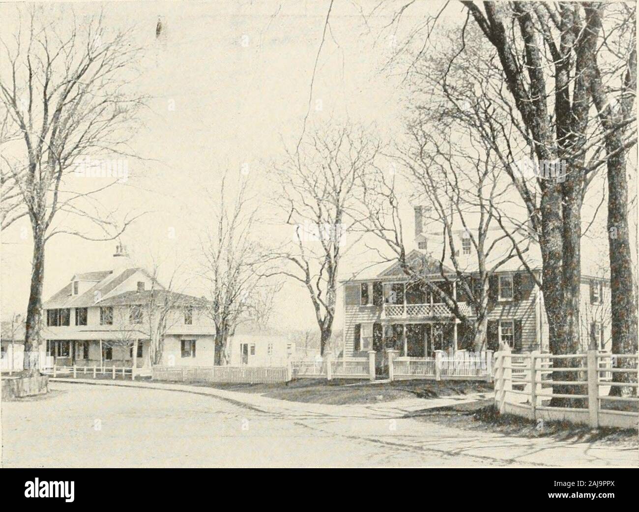 Cornish elm trees hi-res stock photography and images - Alamy