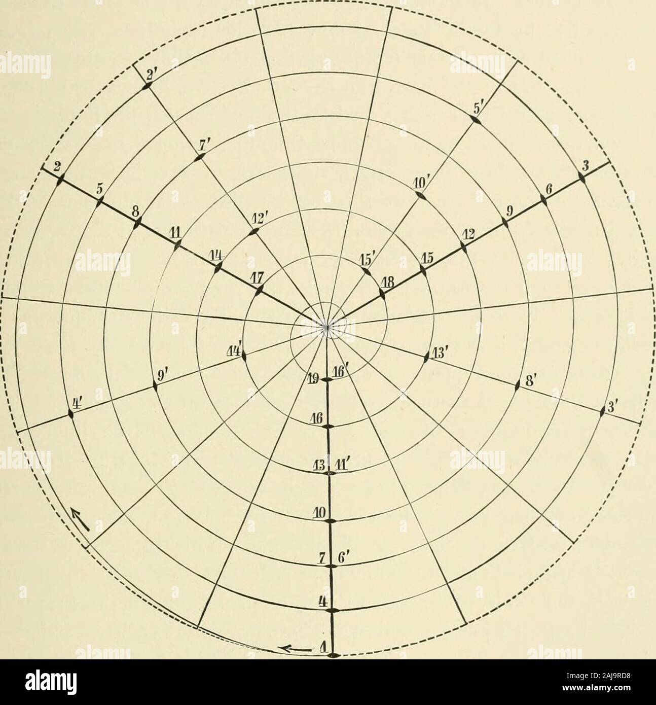 Half torsion hi-res stock photography and images - Alamy