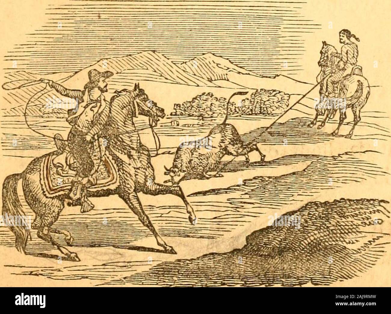 Kings of peru hi-res stock photography and images - Alamy