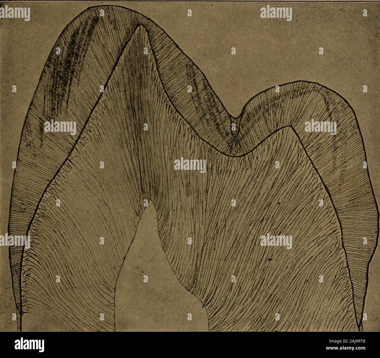 Enamel rods hi-res stock photography and images - Alamy