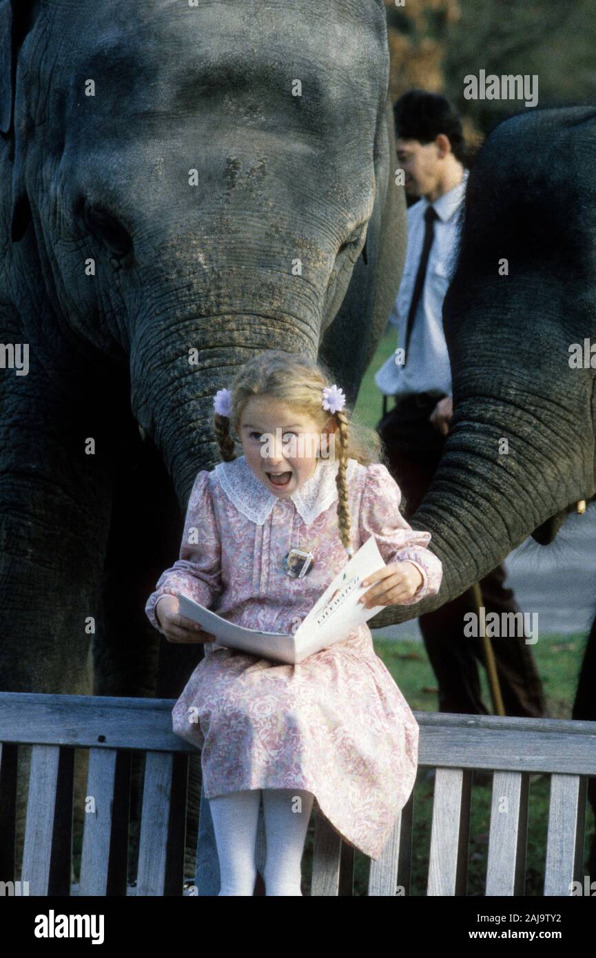 Dilberta the elephant hi-res stock photography and images - Alamy