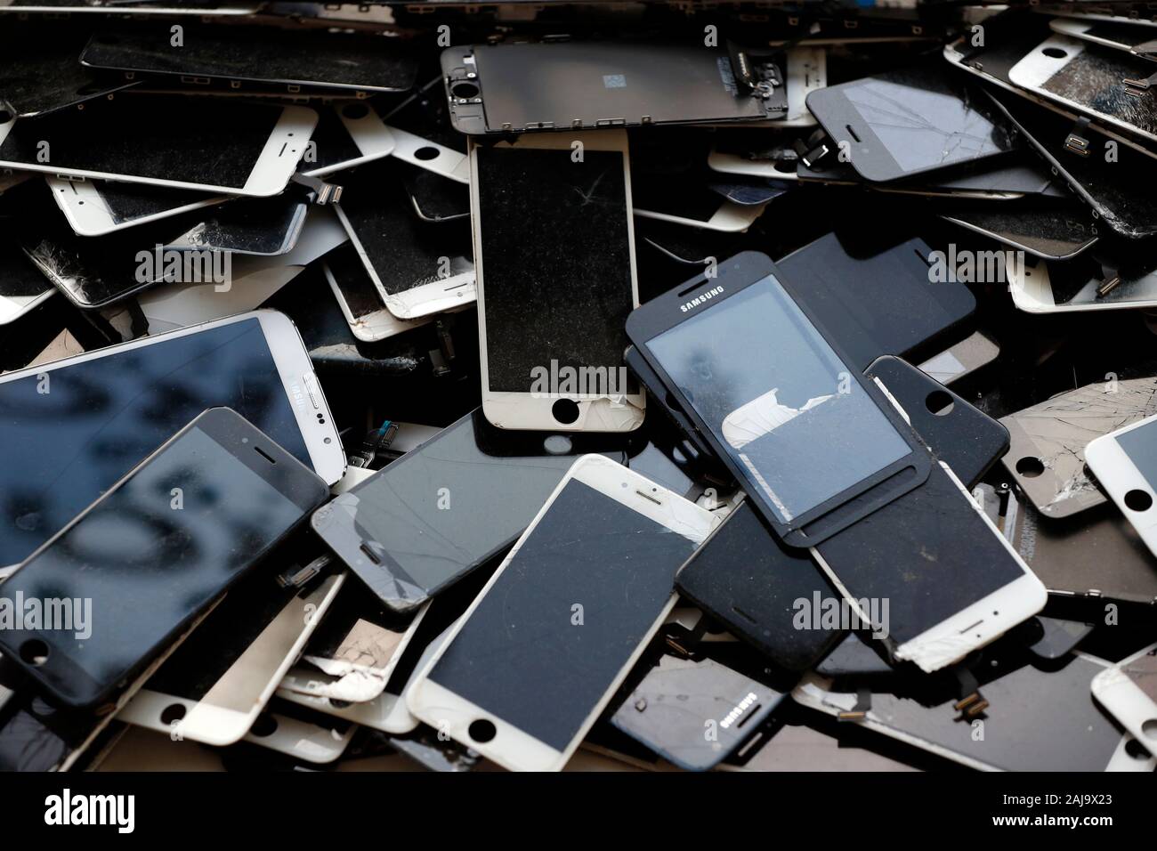 Consumer ecology hi-res stock photography and images - Alamy