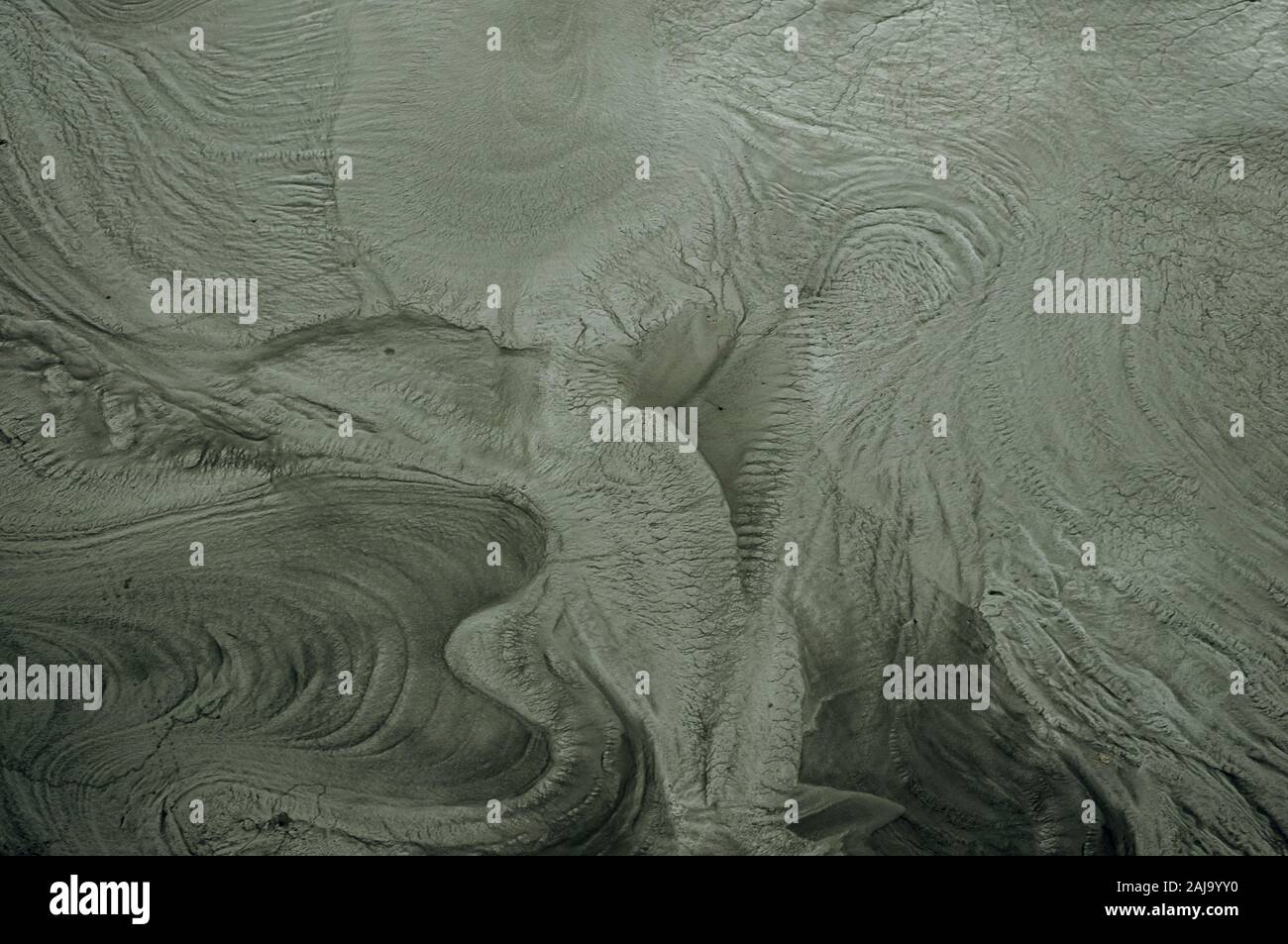 lizard fossil in the mud in the chemical mining waste residuals ...