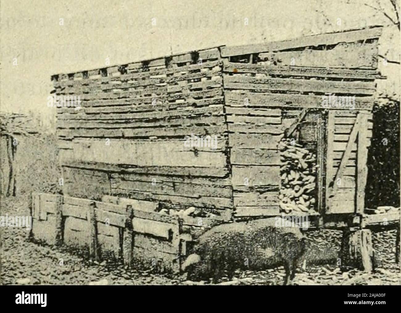 L'hiver et les animaux hi-res stock photography and images - Alamy