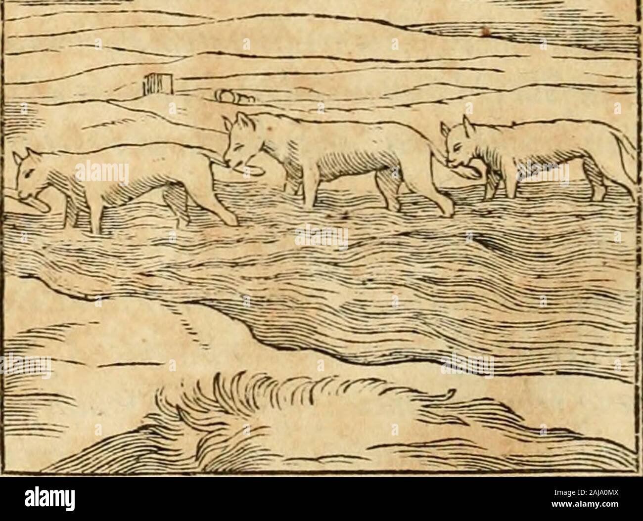 Hieroglyphica, sive, De sacris Aegyptiorvm aliarvmqve gentivm literis ...