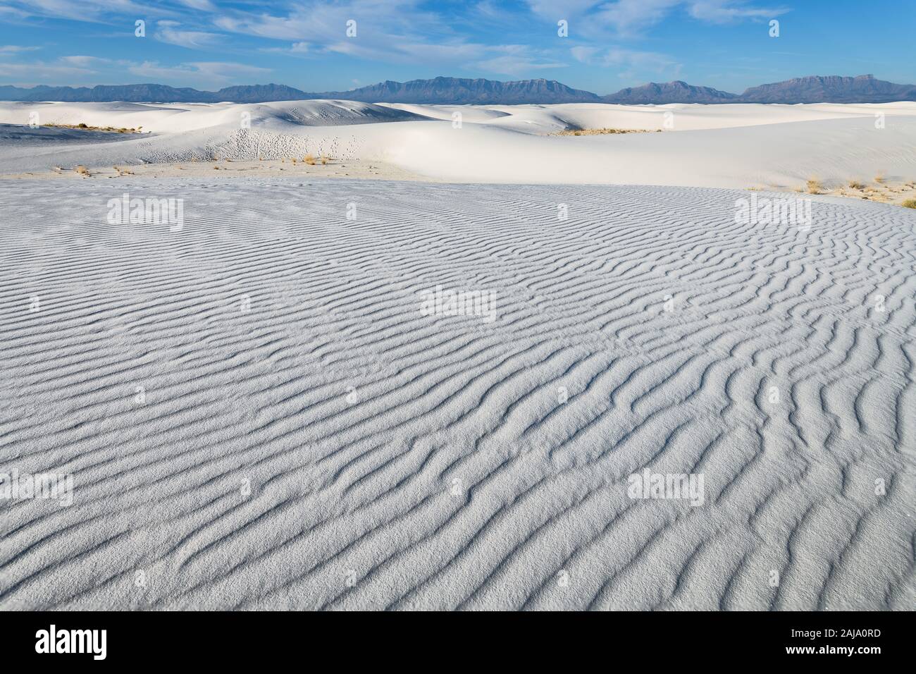 Sand ripples in the dunes and the San Andreas Mountains from the ...