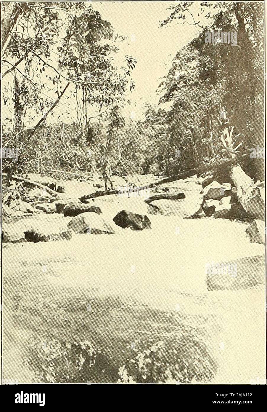 Choco indians panama hi-res stock photography and images - Alamy