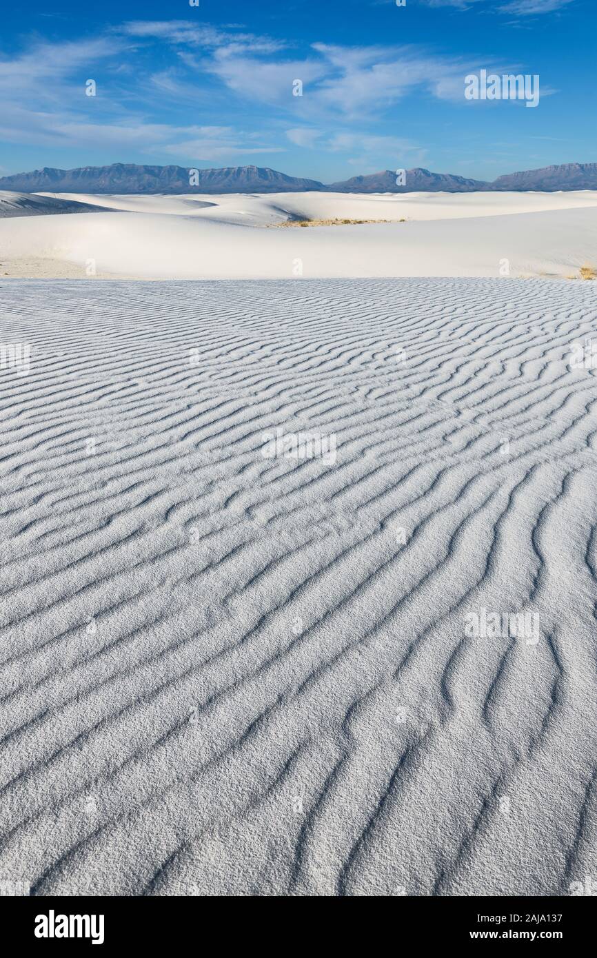 Sand ripples in the dunes and the San Andreas Mountains from the ...