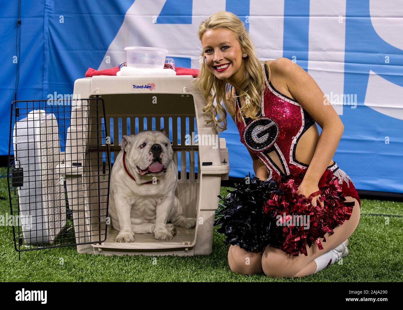 How Old Is The Current Uga Bulldog