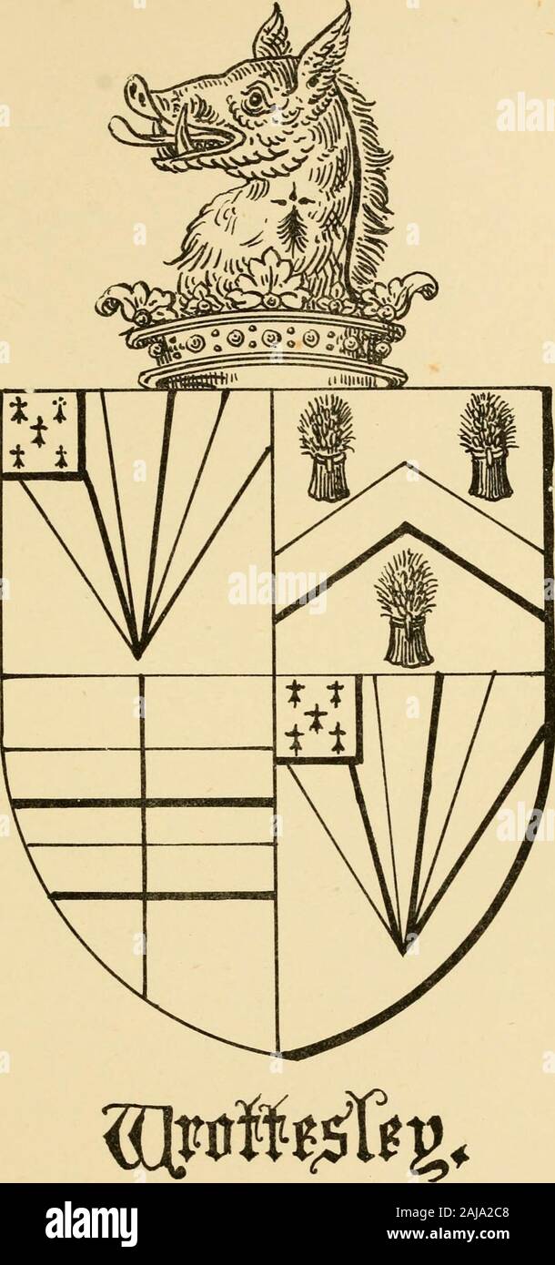 Ms 13 arm hi-res stock photography and images - Alamy