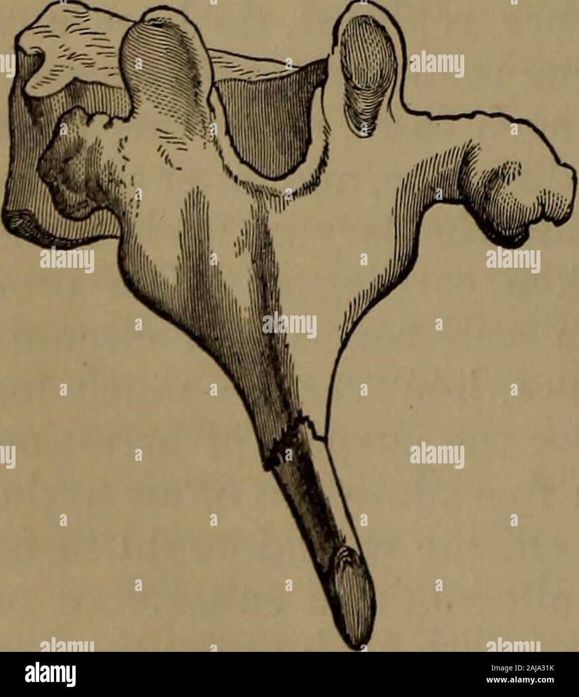 Lateral displacement hi-res stock photography and images - Alamy