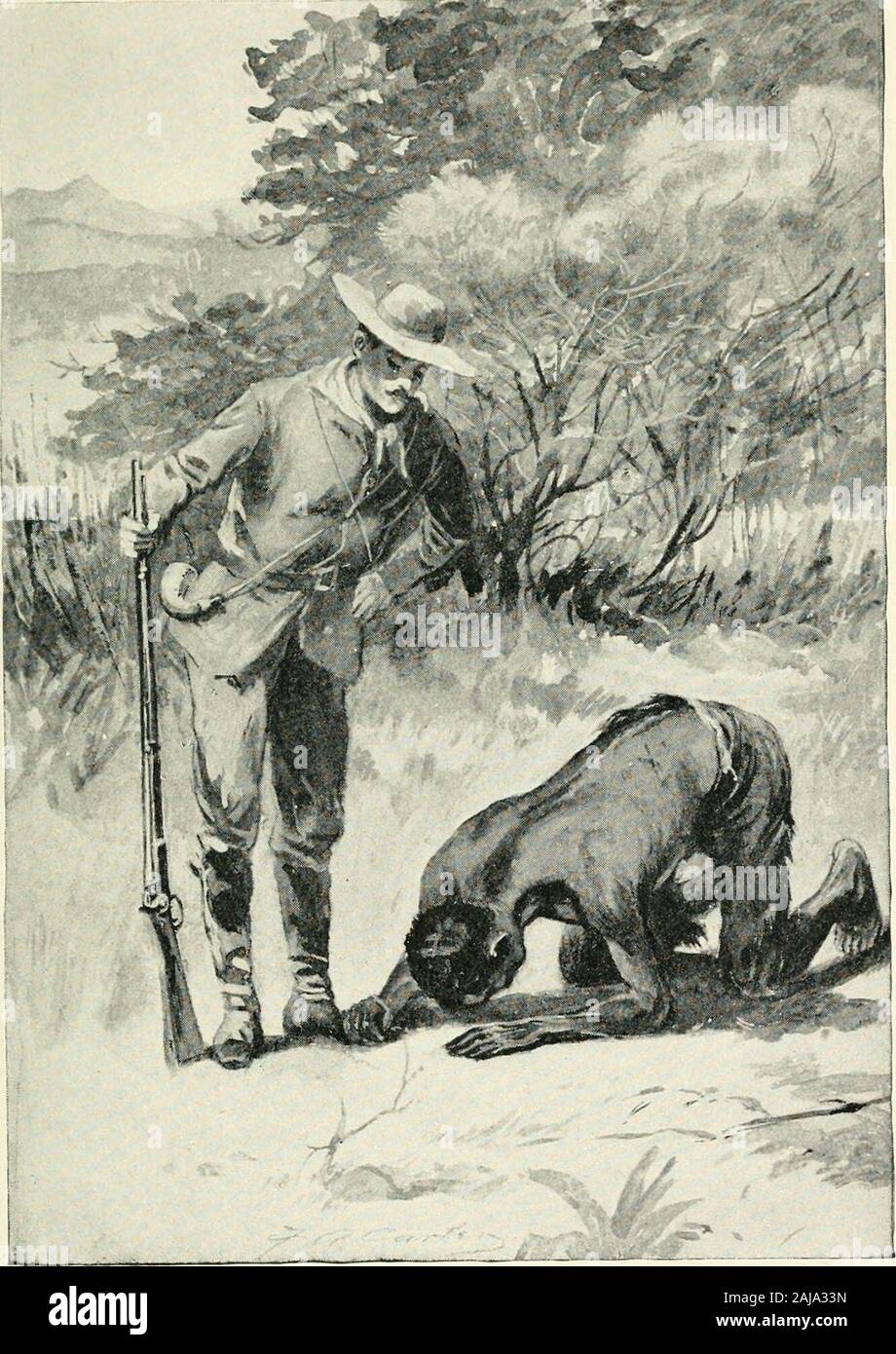 Slave reading hi-res stock photography and images - Alamy