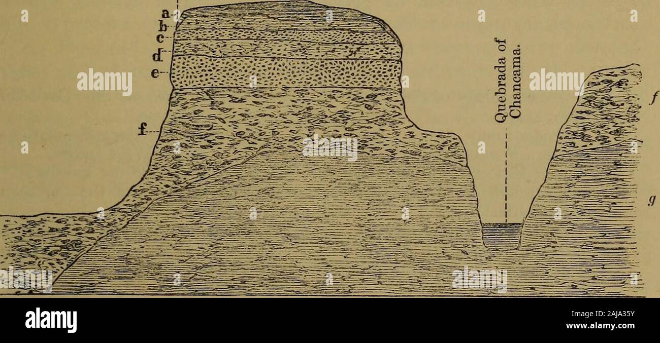 Tertiarylimestone hi-res stock photography and images - Alamy