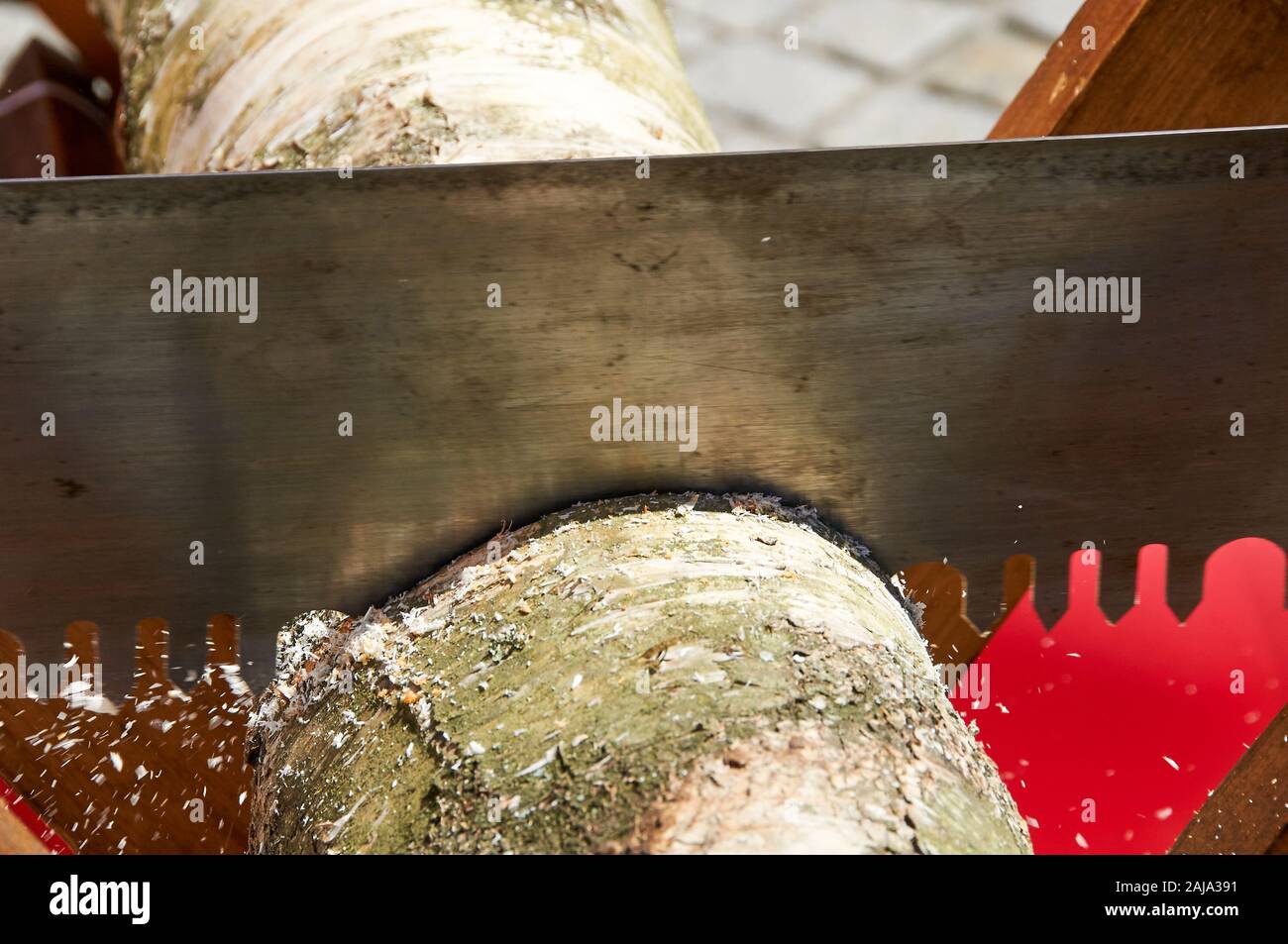 wedding game tree trunk saw Stock Photo - Alamy