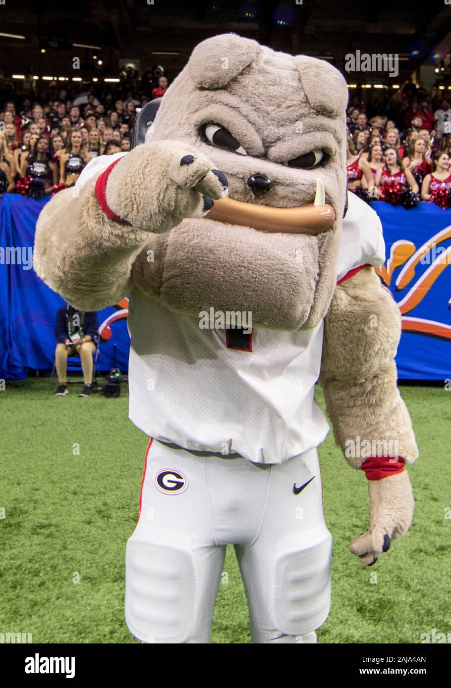 Georgia bulldogs mascot hi-res stock photography and images - Alamy