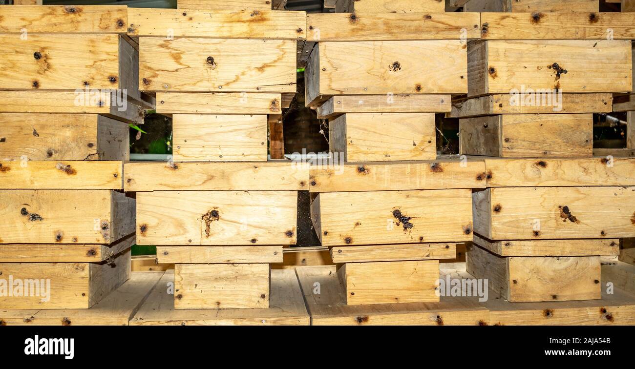 Artificial wooden hive box stingless bee / Trigona sp in the coffee ...