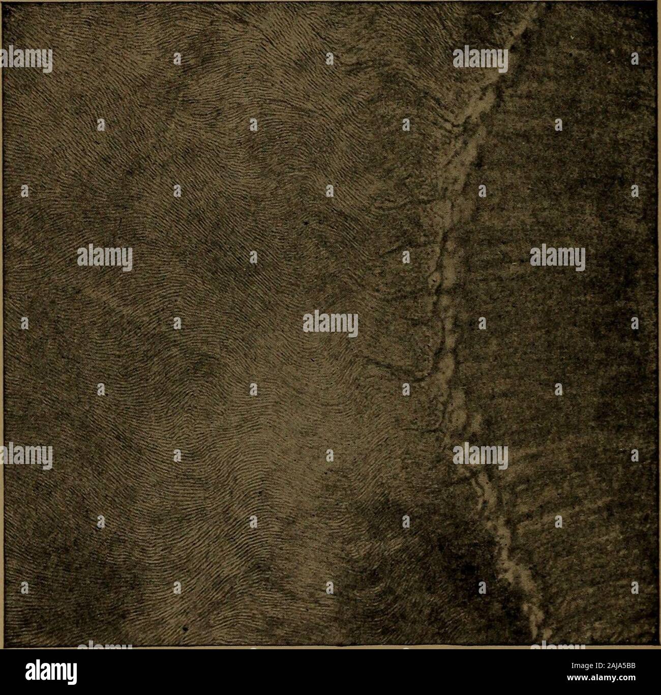 Enamel rods hi-res stock photography and images - Alamy