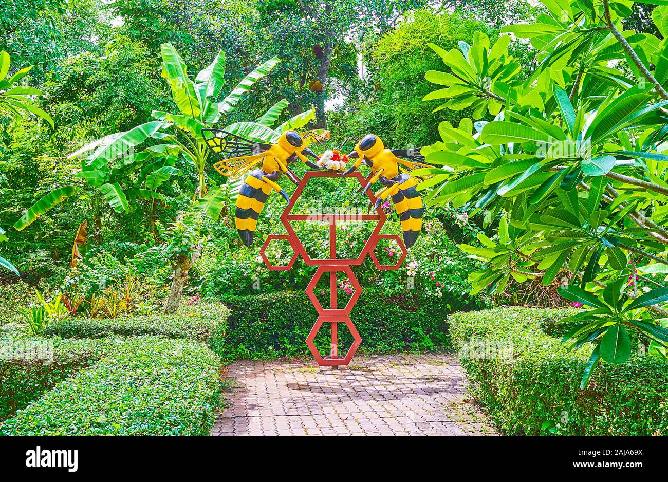 Honey bees of southeast asia hi-res stock photography and images - Alamy