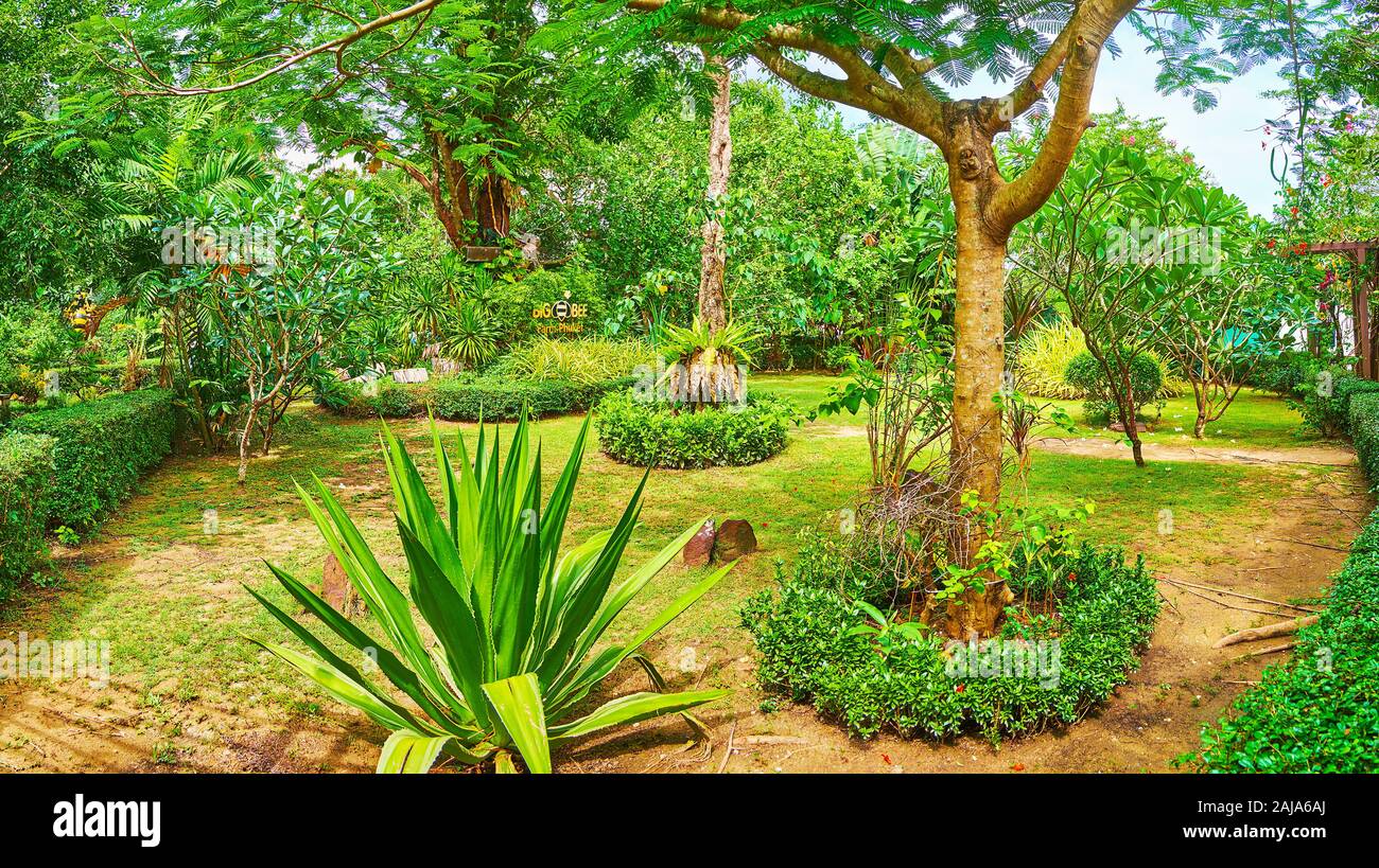 PHUKET, THAILAND - APRIL 30, 2019: The shady garden of the Big Bee Farm ...