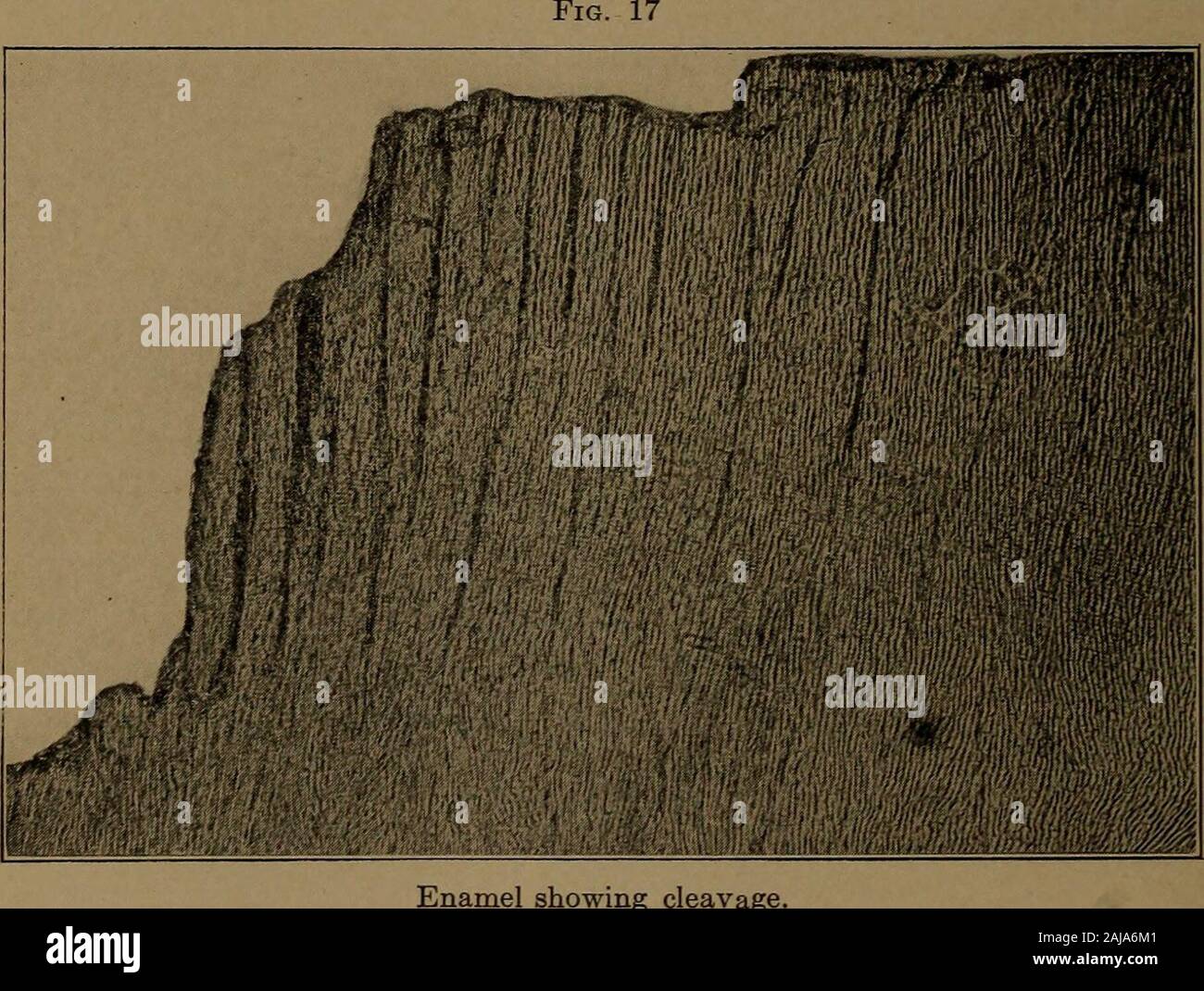 Transverse rods hi-res stock photography and images - Alamy