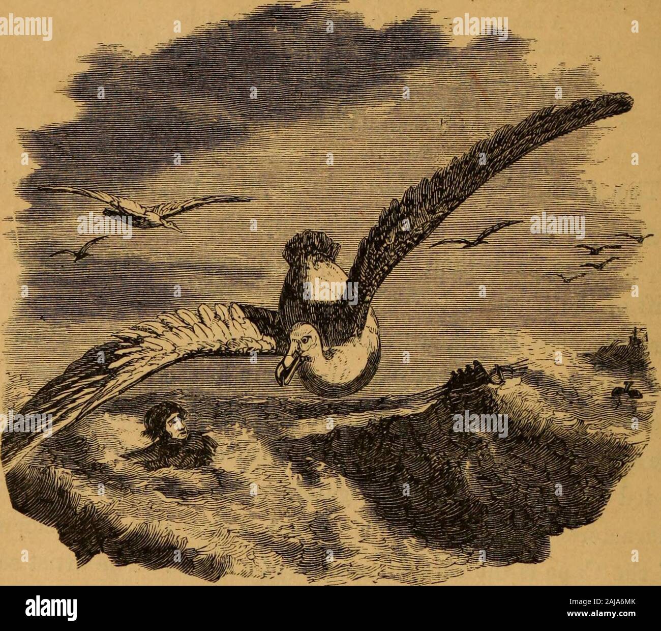 Thedrift hi-res stock photography and images - Alamy