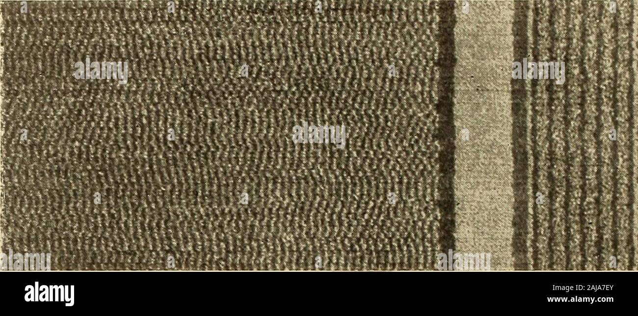 Axminster carpets hi-res stock photography and images - Alamy