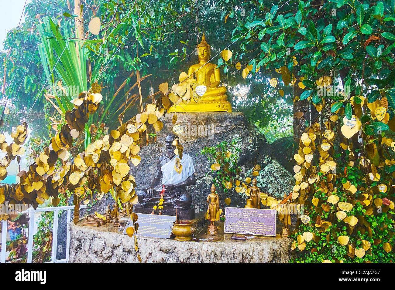 Bo tree leaves hi-res stock photography and images - Alamy