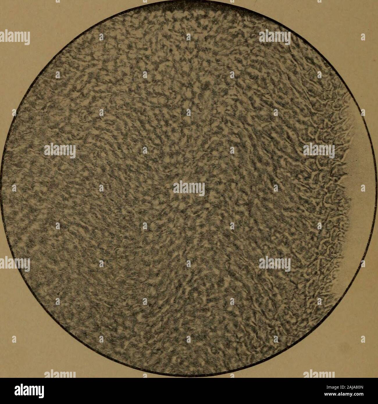 A text-book of dental histology and embryology, including laboratory ...