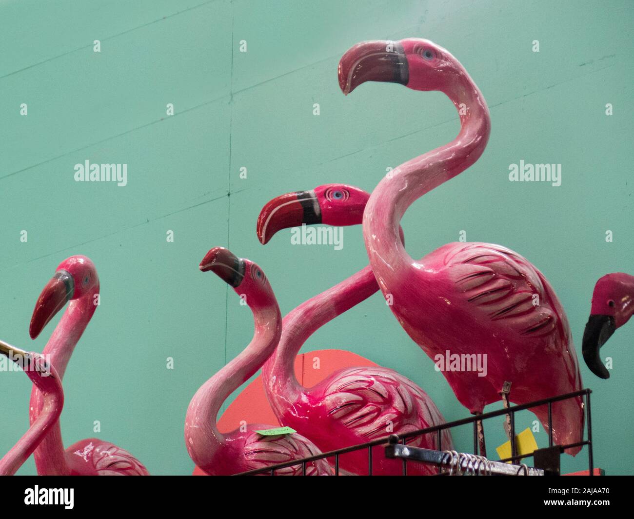 Pink flamingo plastic hi-res stock photography and images - Alamy