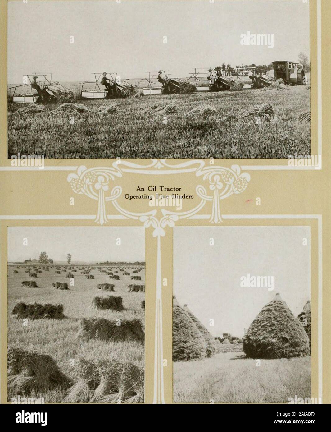 Harvest scenes of the world . Wheat in the Shock ....^.ifcii Wheat in ...
