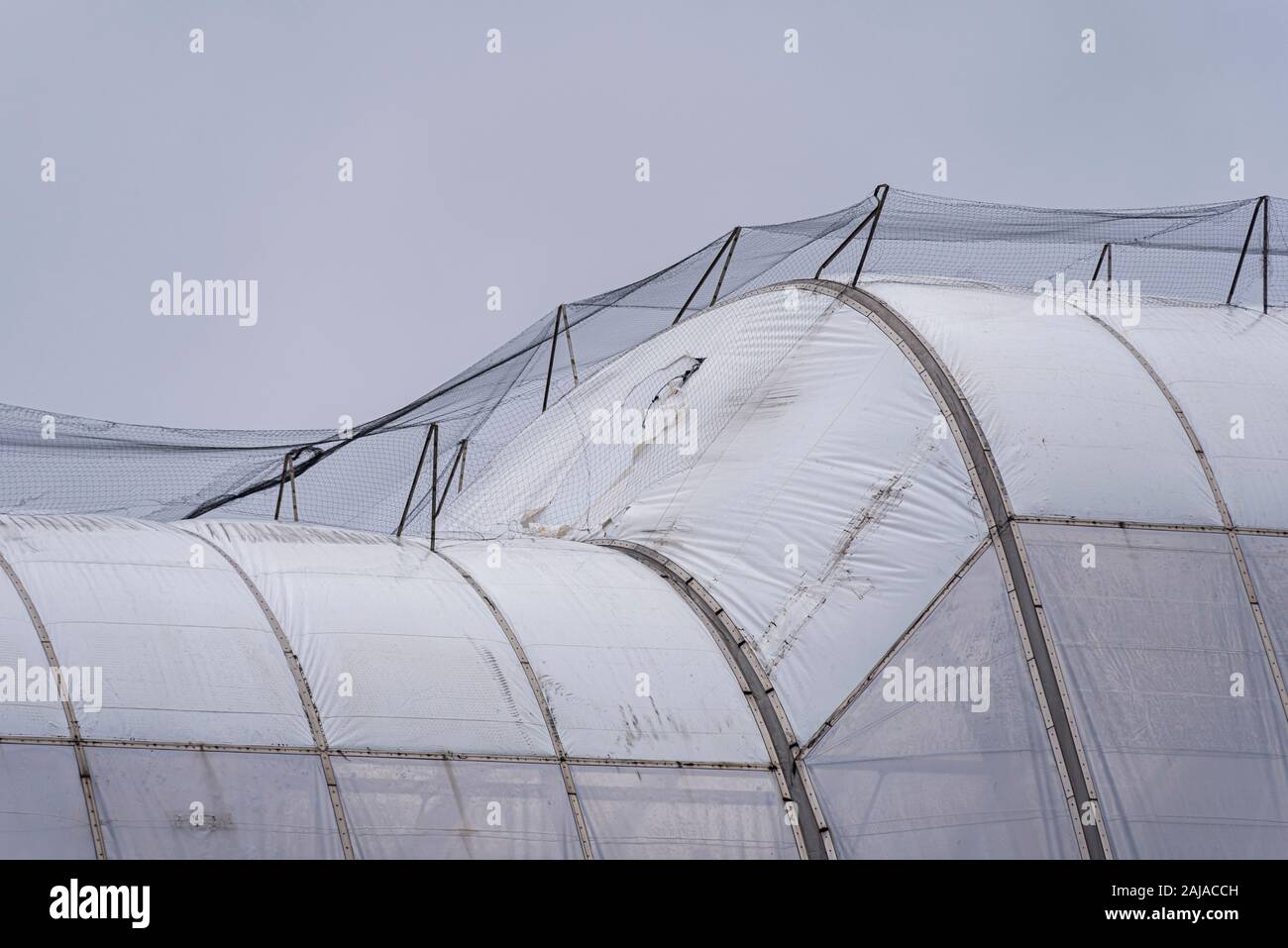 Damage to the ETFE fabric skin roof of the South Essex College building ...