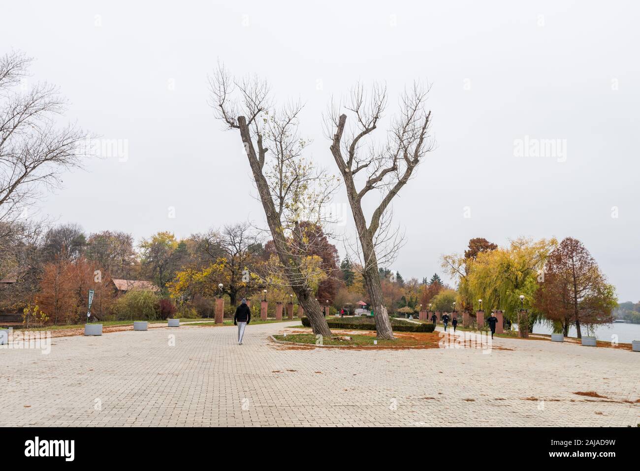Peaceful and colorful trees in the Herastrau park in Bucharest, or King ...
