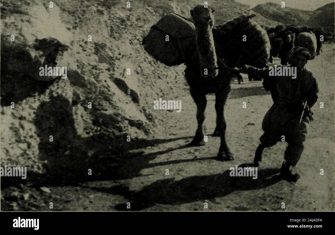 Open fronted shops hi-res stock photography and images - Alamy