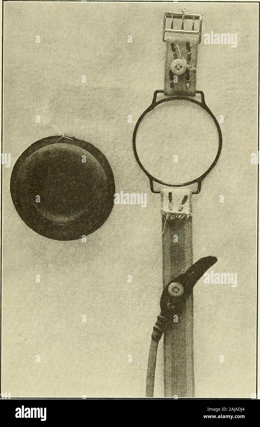 Perineal body hi-res stock photography and images - Alamy