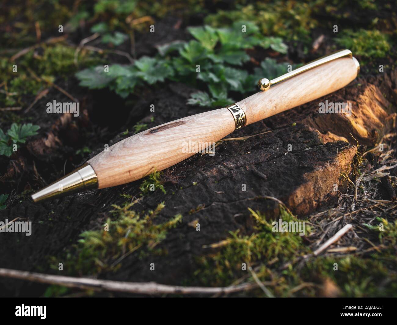 Environmentally friendly products hi-res stock photography and images ...