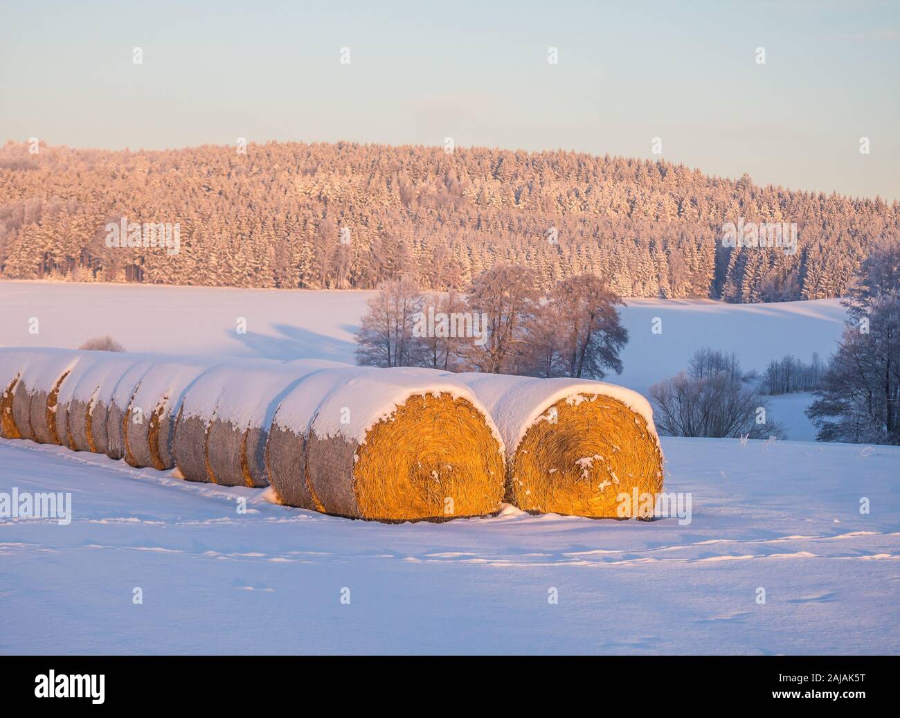 Round hay bales in snow hi-res stock photography and images - Alamy