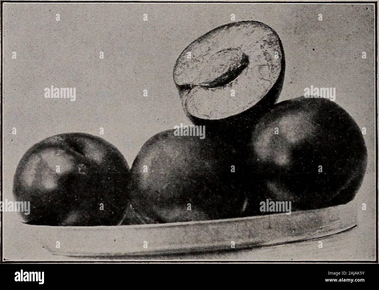 Pit 477 hi-res stock photography and images - Alamy