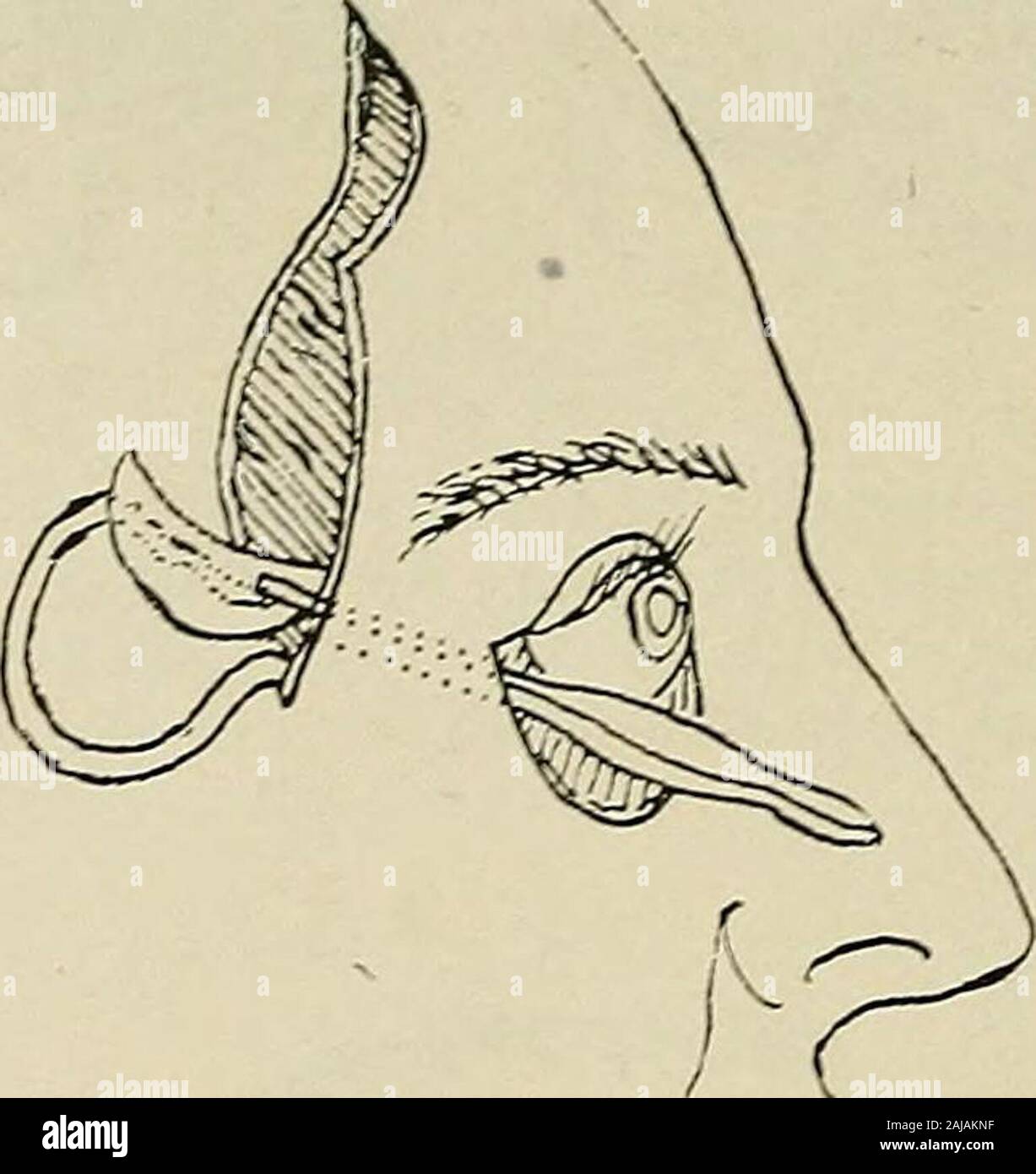 Remo normal hi-res stock photography and images - Alamy