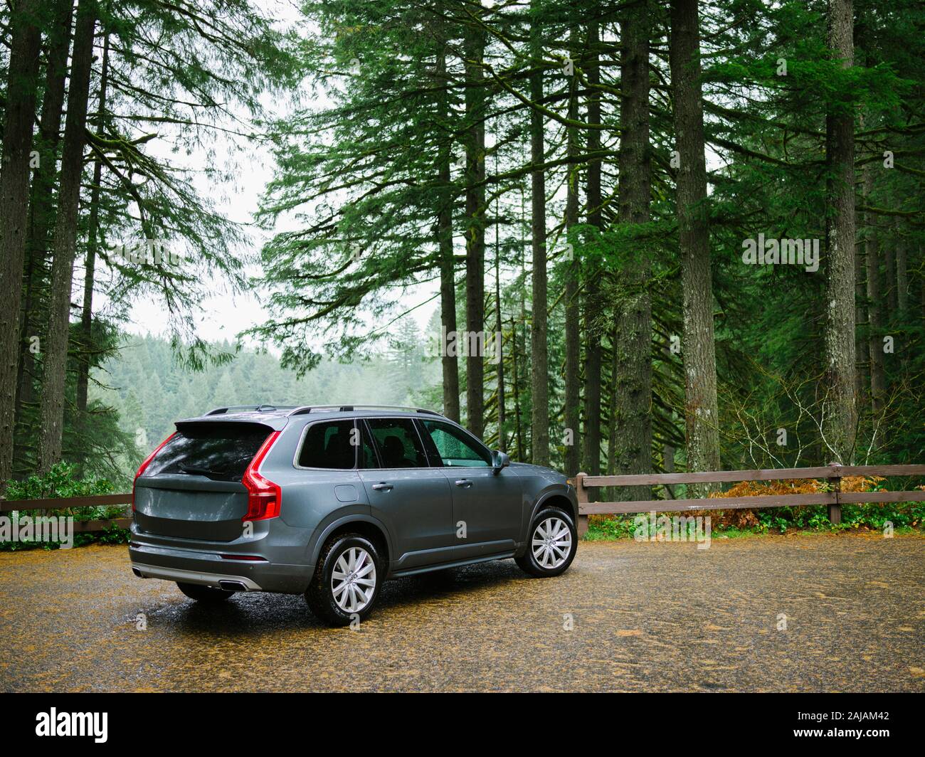 SUV automobile parked at pull off on forest road Stock Photo - Alamy