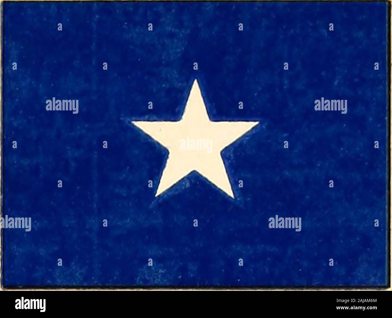 Flags of the Army of the United States carried during the War of the ...