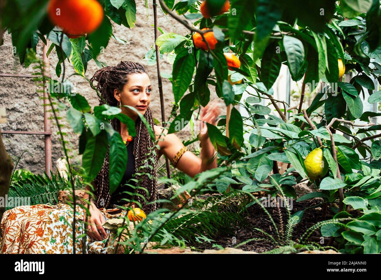 pretty islam woman in orange grove smiling, real muslim girl cheerful ...